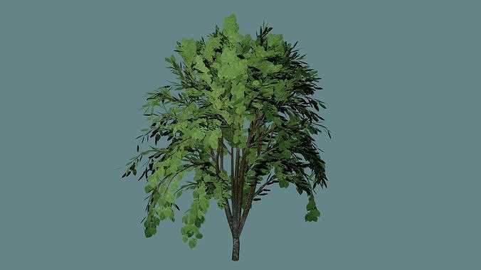 Simple and realistic tree 3D model rigged | CGTrader
