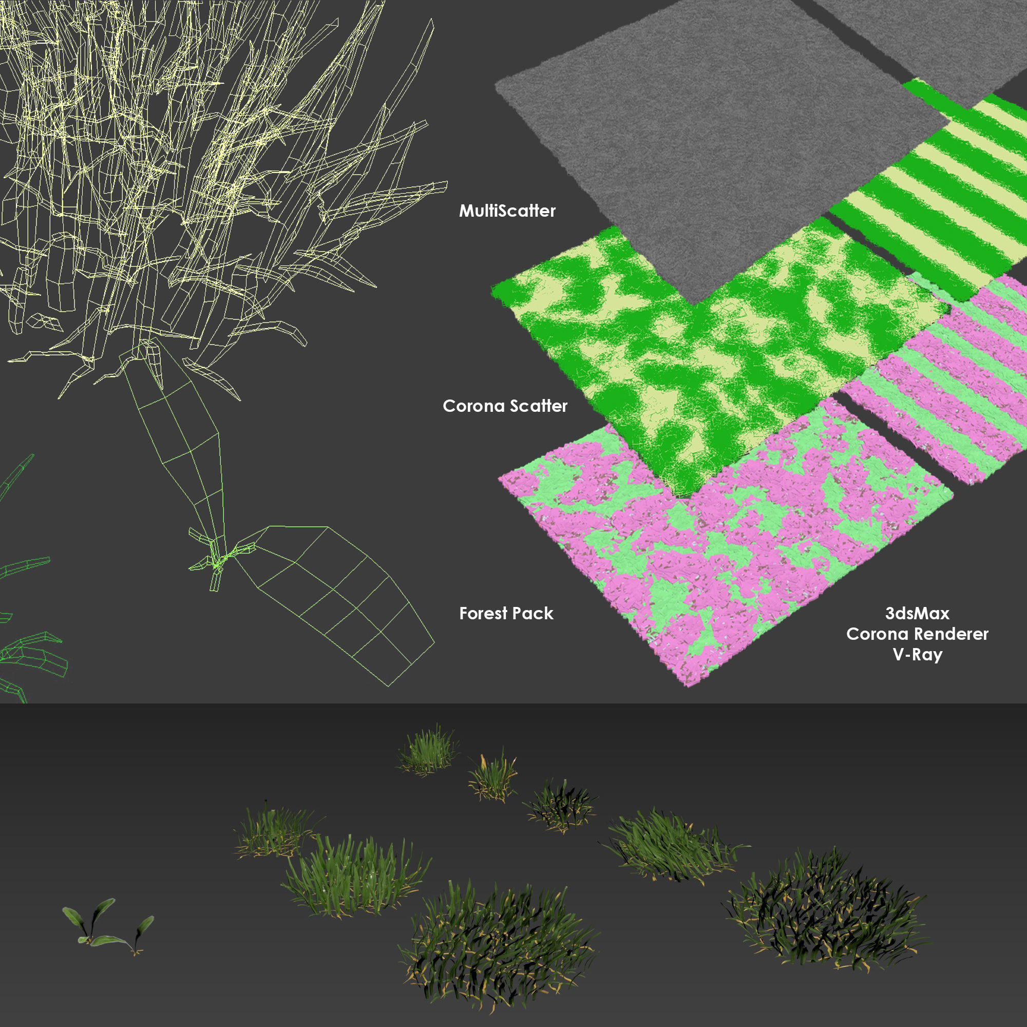 Lawn grass 3D model | CGTrader