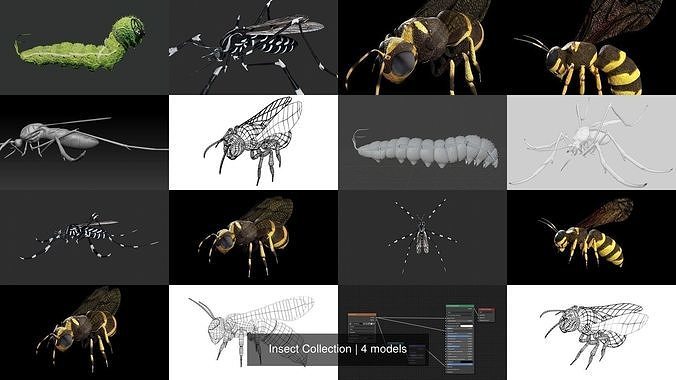 Insect Collection caterpillar VR / AR / low-poly | CGTrader