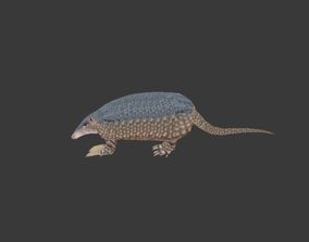Armadillo 3D Models | CGTrader