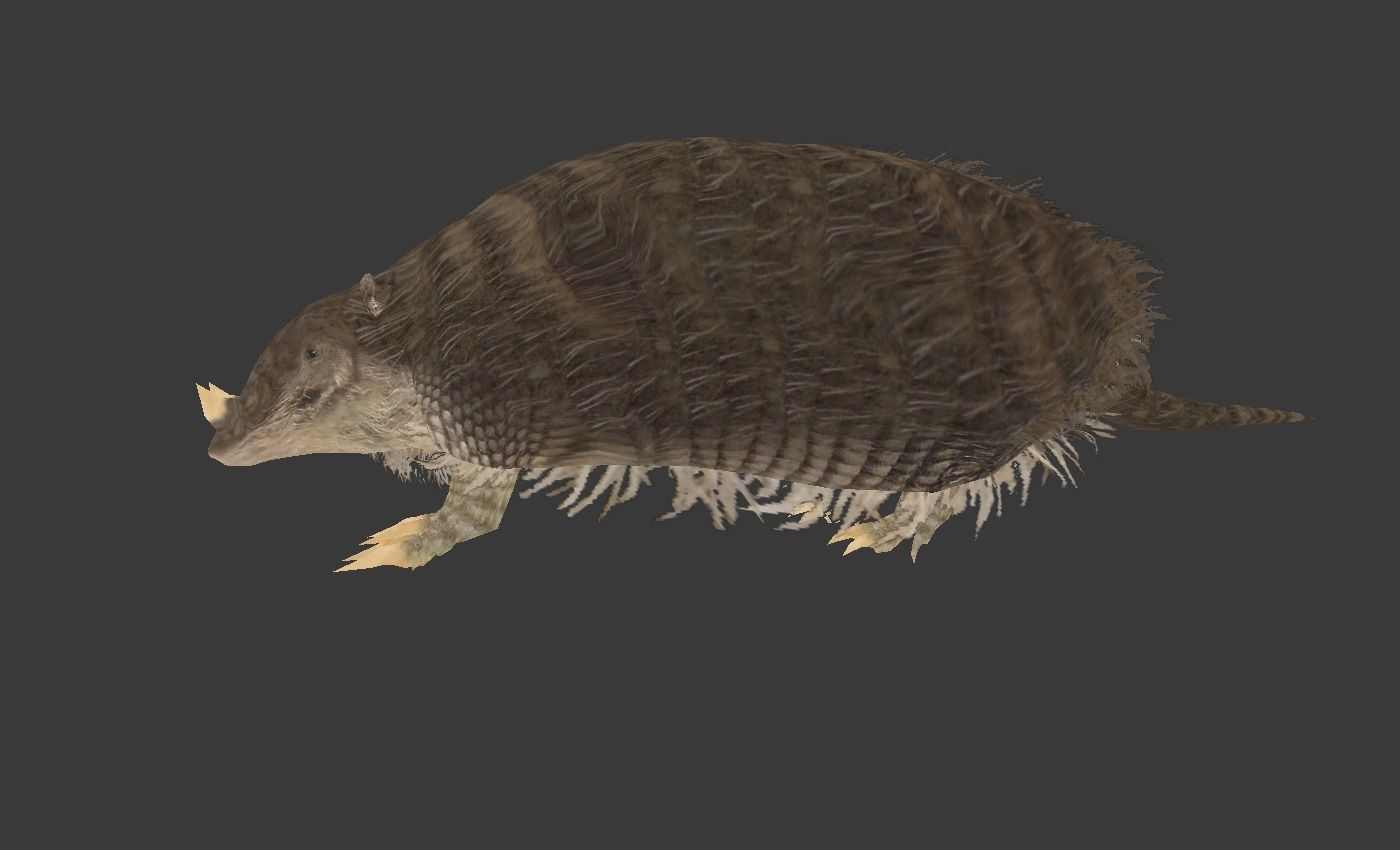 3D model Peltephilus armadillo VR / AR / low-poly | CGTrader