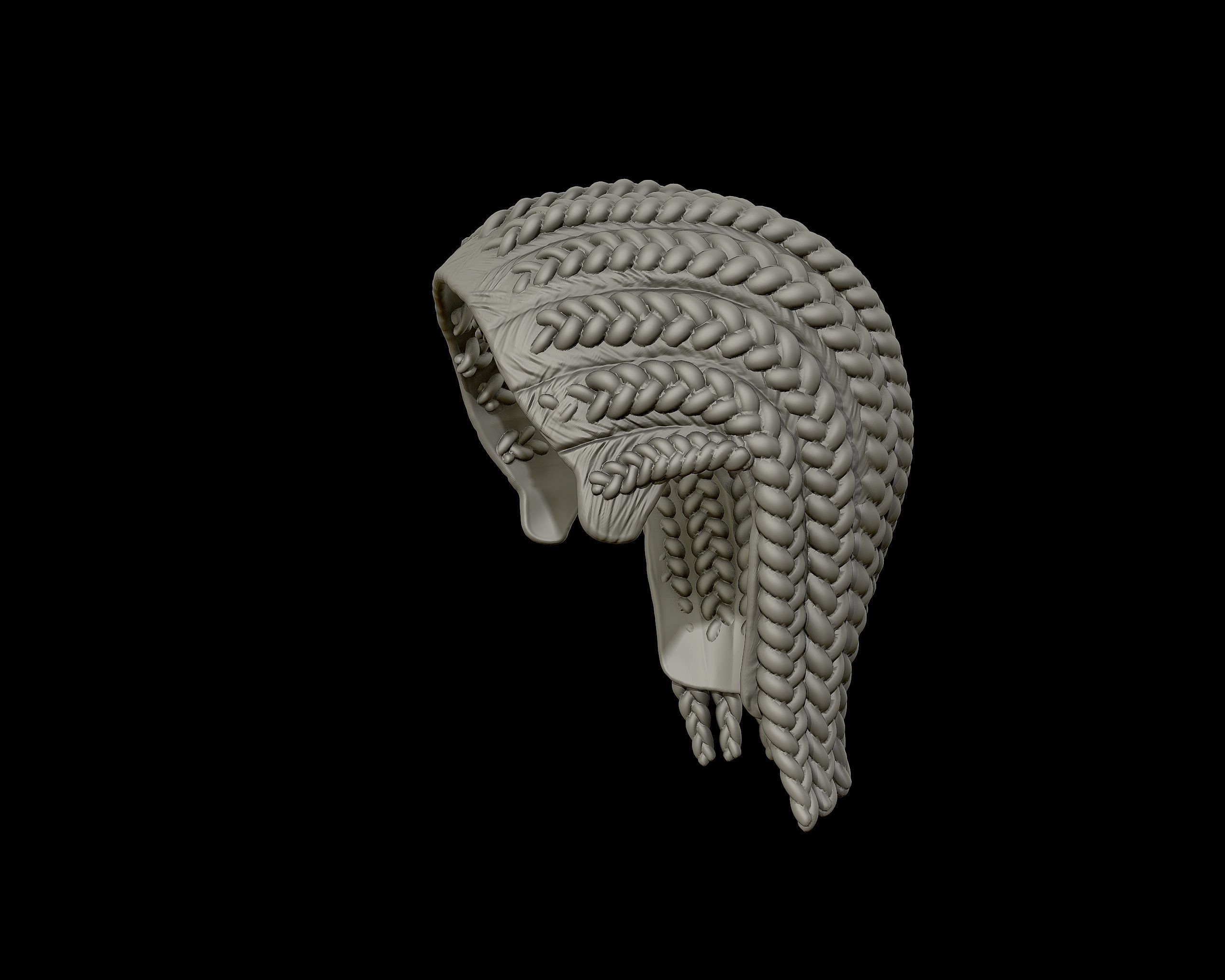 Braid Hairstyle 01 3D model 3D printable | CGTrader