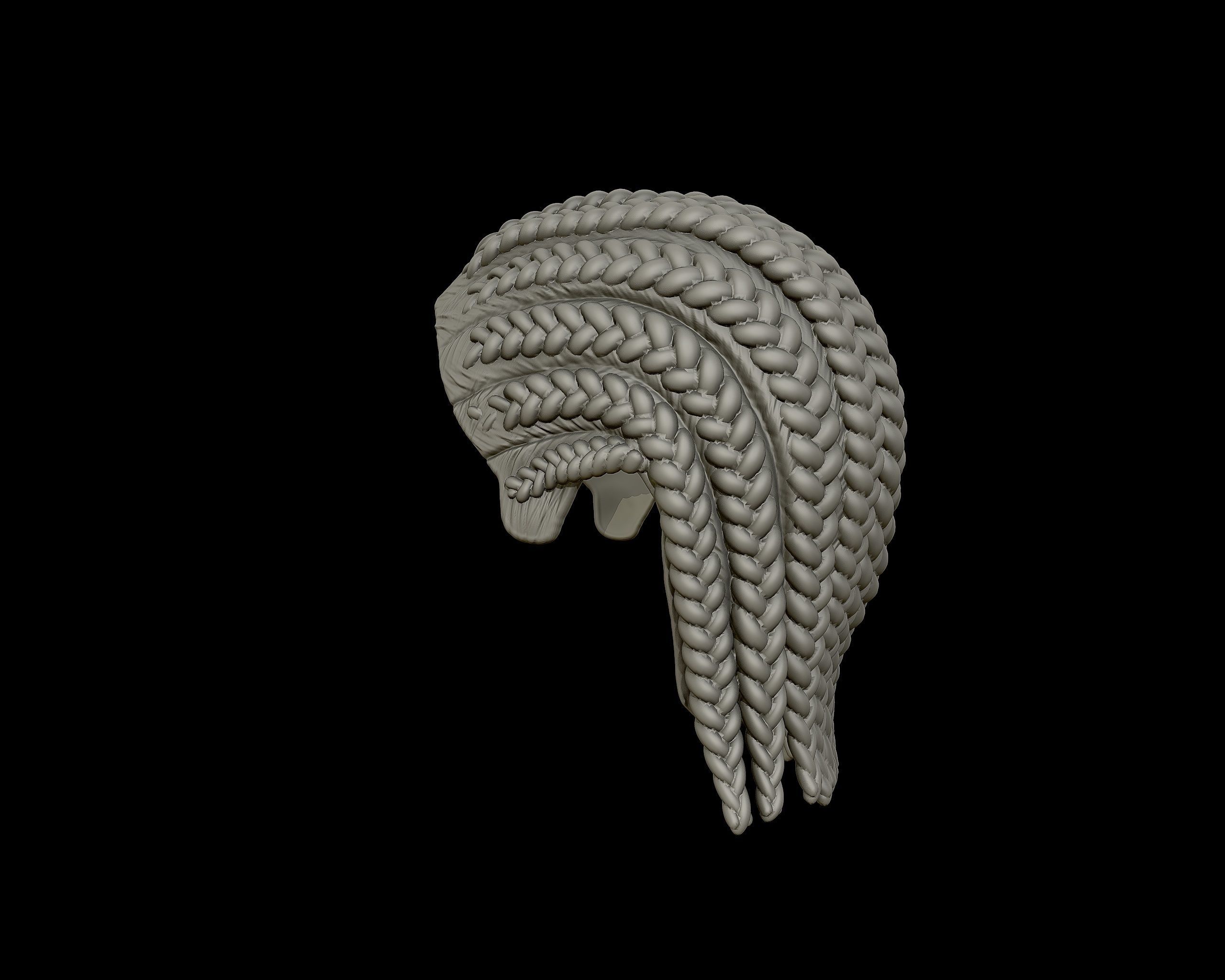 Braid Hairstyle 01 3D model 3D printable | CGTrader