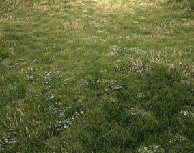 Low-poly Grass 3D Models | CGTrader