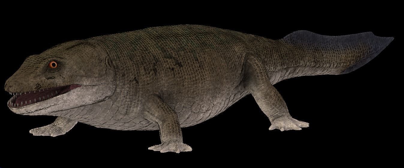 3D model Ichthyostega Asset Pack VR / AR / low-poly rigged animated ...