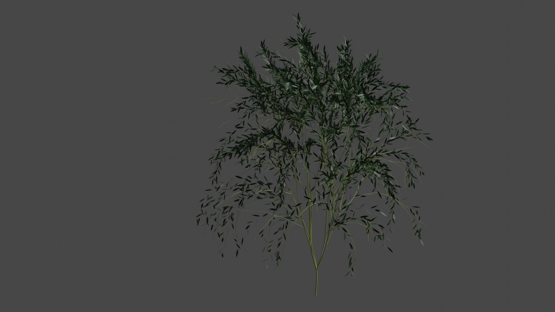 Pohon Krisdoren 3D model animated rigged | CGTrader