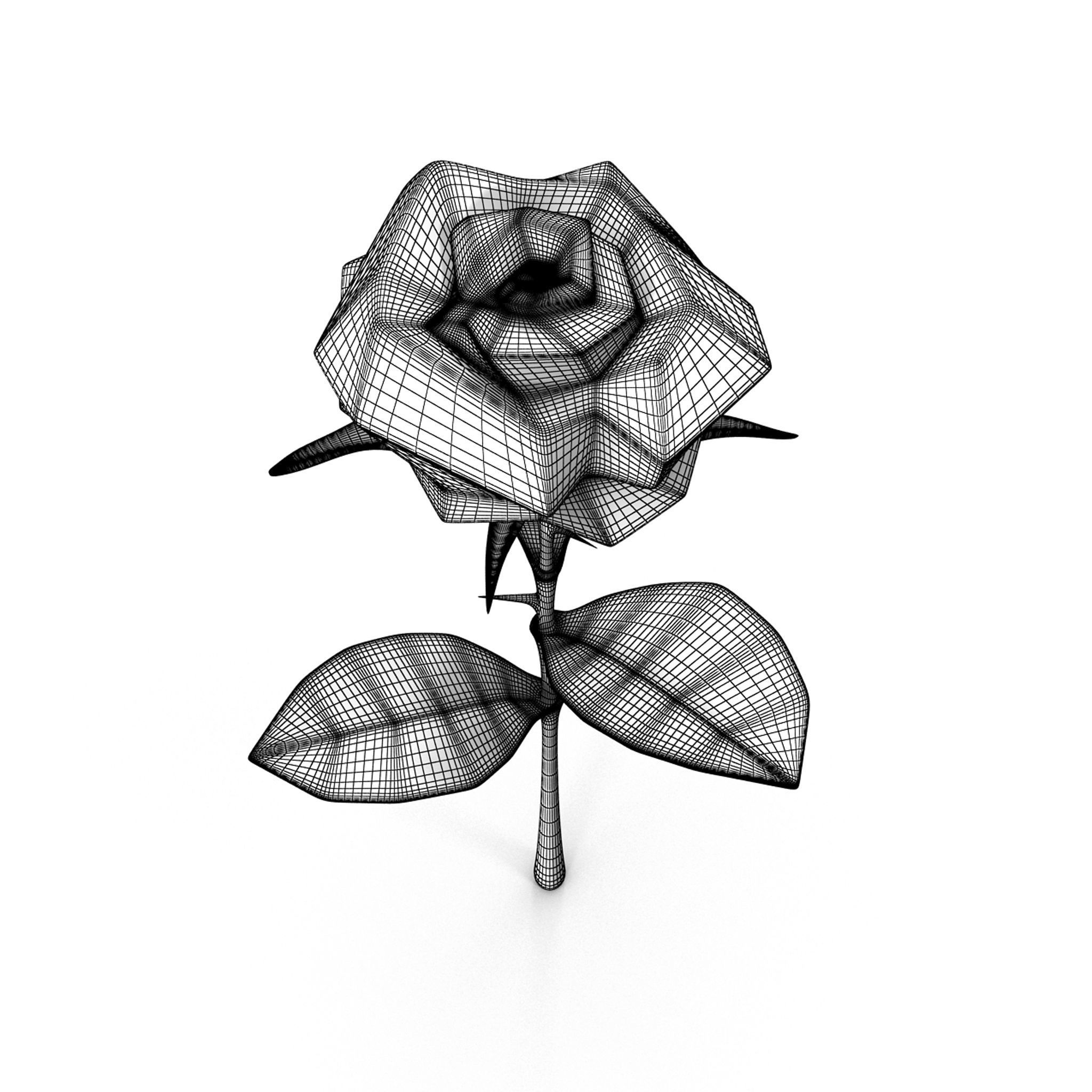 Rose Gold 3D model | CGTrader