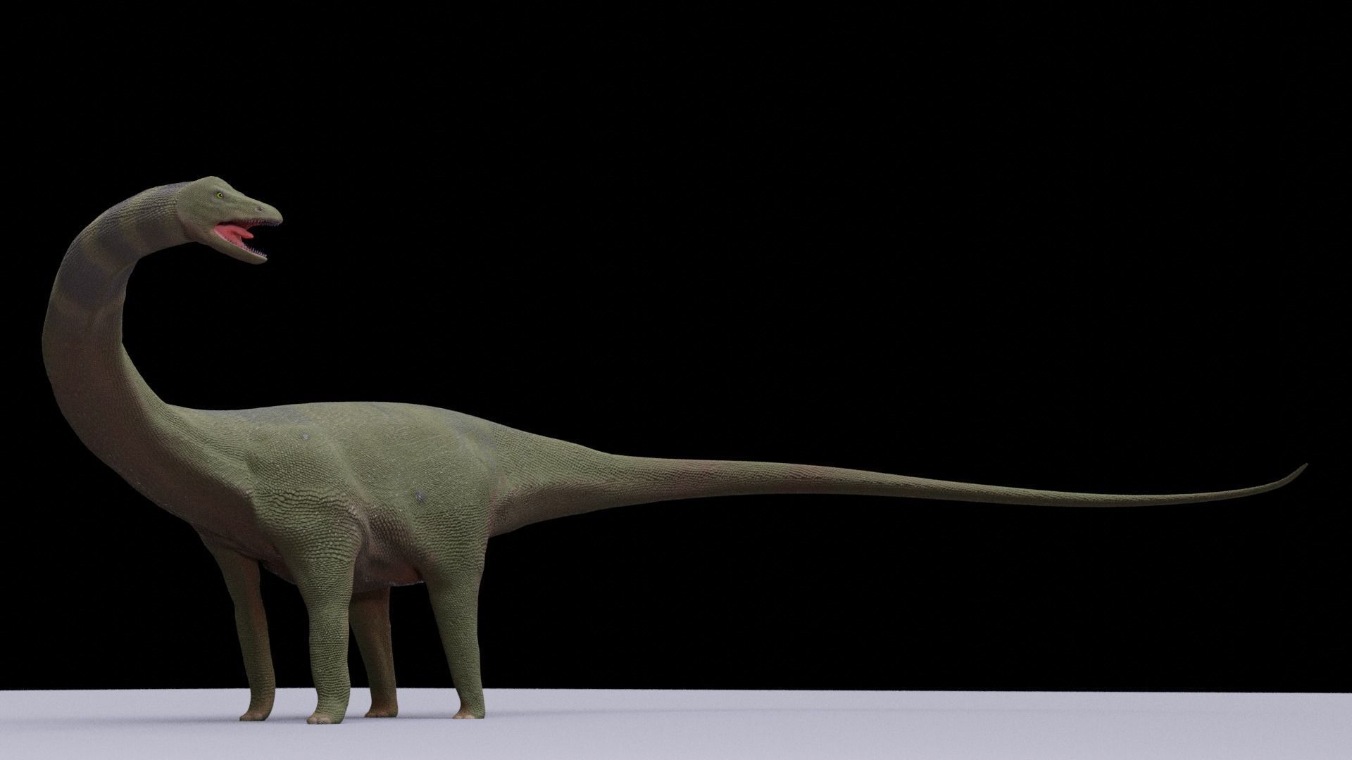 Diplodocus 3D model rigged | CGTrader