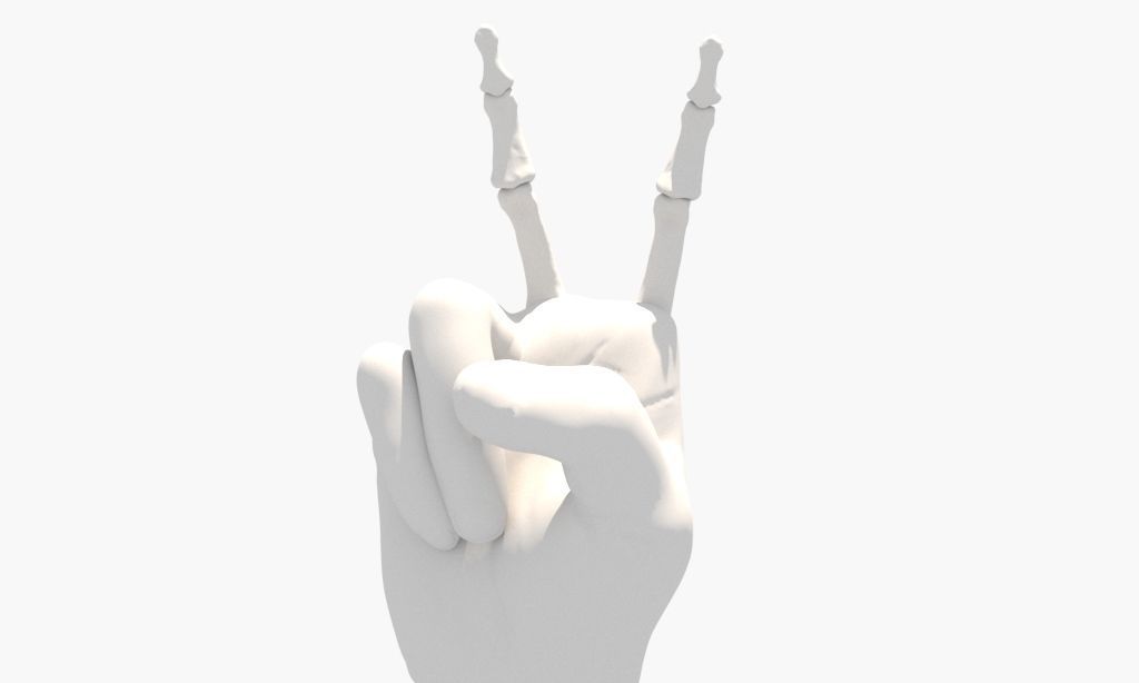 Finger structure free 3D model | CGTrader