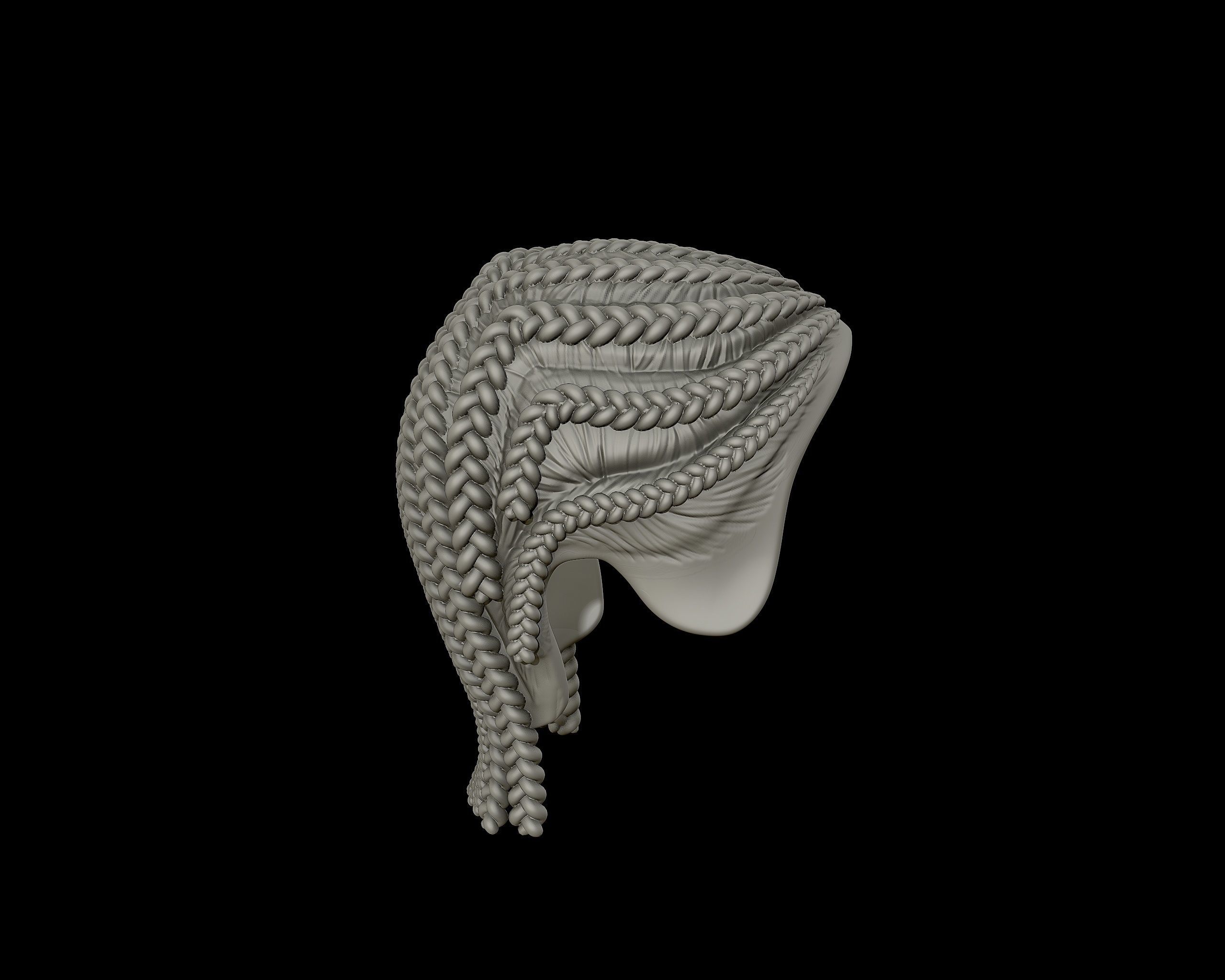 Braid Hairstyle 12 3D model 3D printable | CGTrader