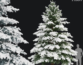 Winter tree 3D Models | CGTrader
