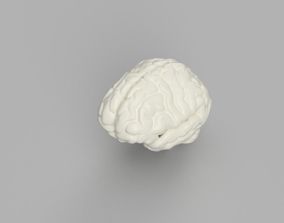 Brain 3D Printing Models | CGTrader