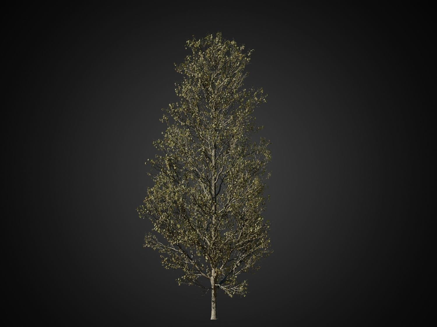 HeliosVegetation vol1 Autumn - leafless tree pack VRAY 3D model | CGTrader