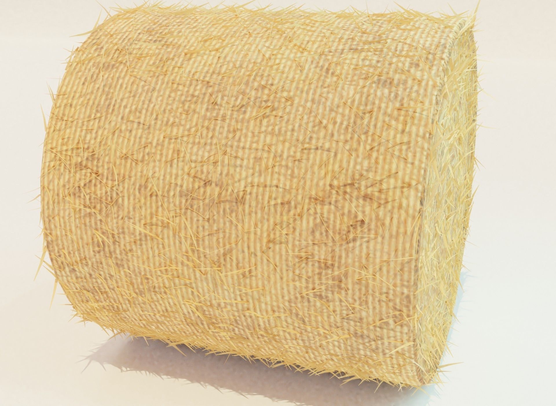 Hay Bale Round 3D Model 3D model | CGTrader