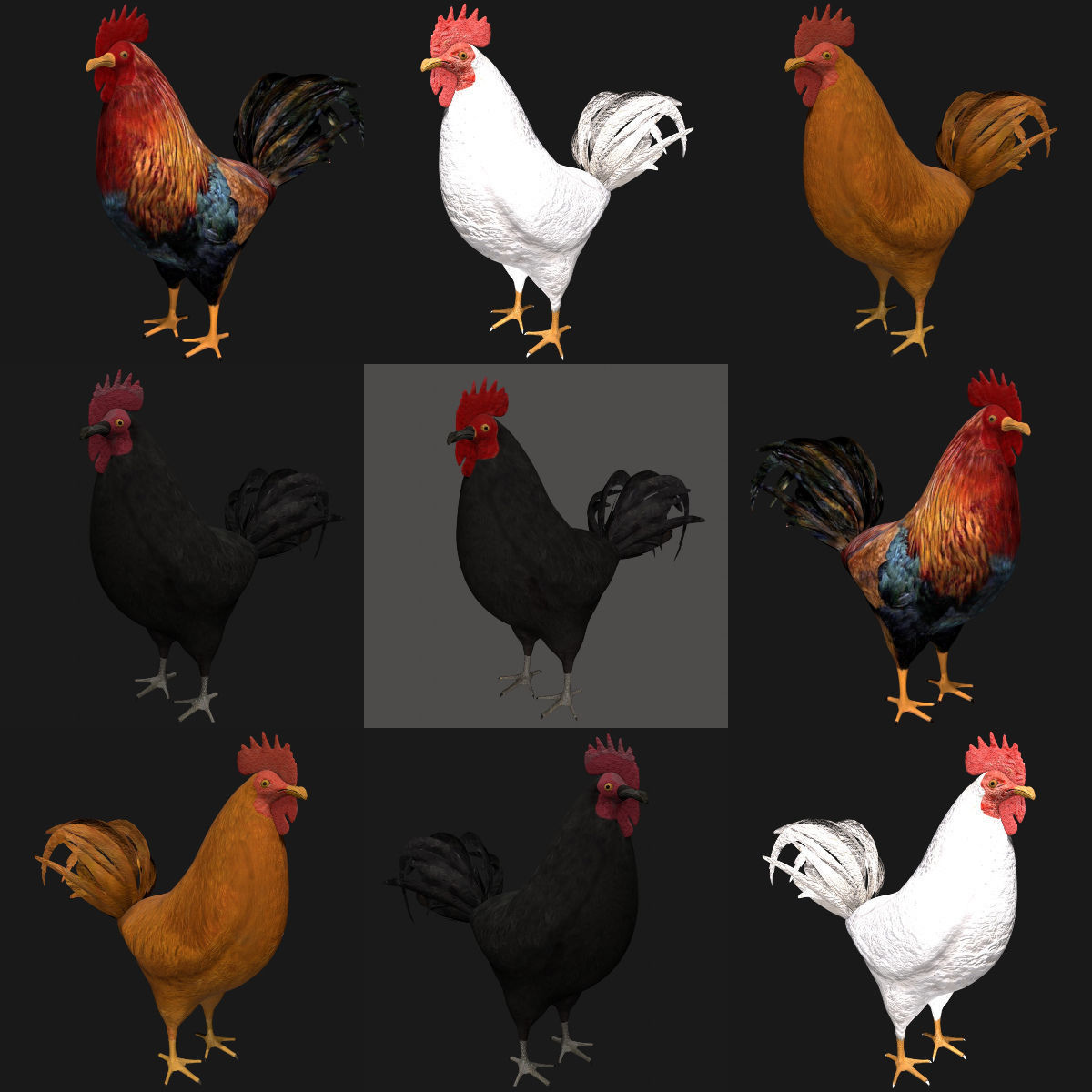Different color Rooster hen collection VR / AR / low-poly | CGTrader