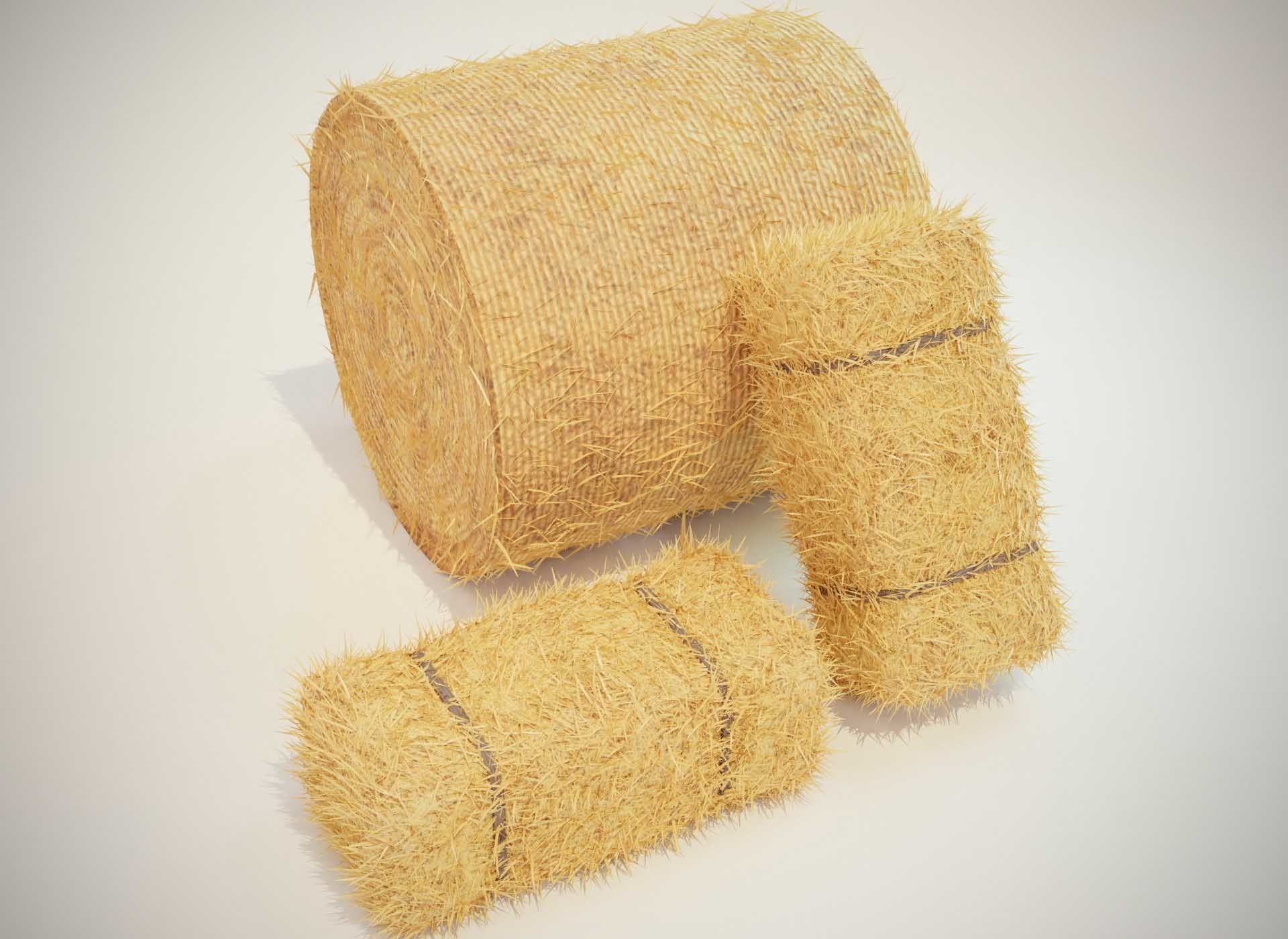 Hay Bales 3D Model Collection | CGTrader