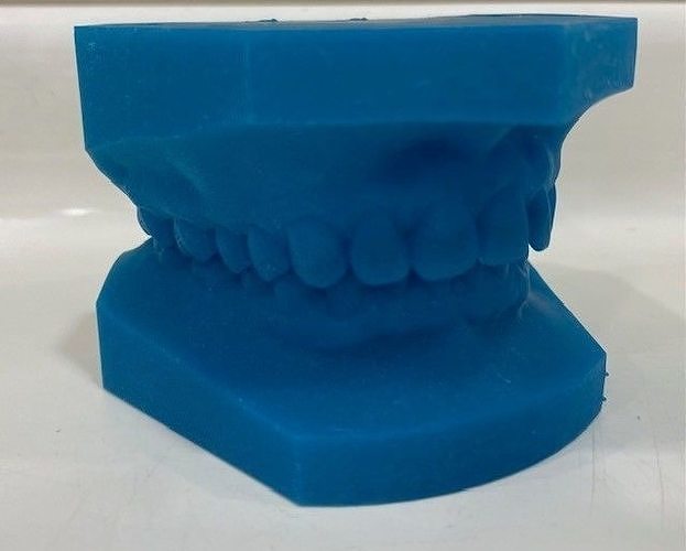 Ortho study model 3D model 3D printable | CGTrader