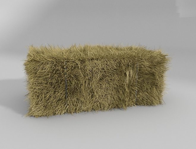 HAY BALE 3D model | CGTrader
