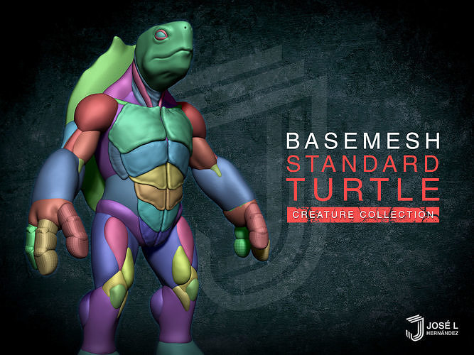 Stylized Basemesh Turtle Character 3D model | CGTrader