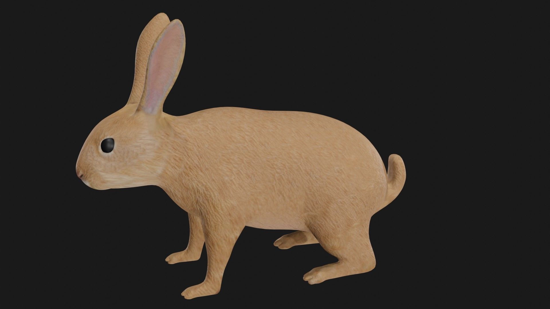 3D model Rabbit hare low poly rigged VR / AR / low-poly rigged | CGTrader