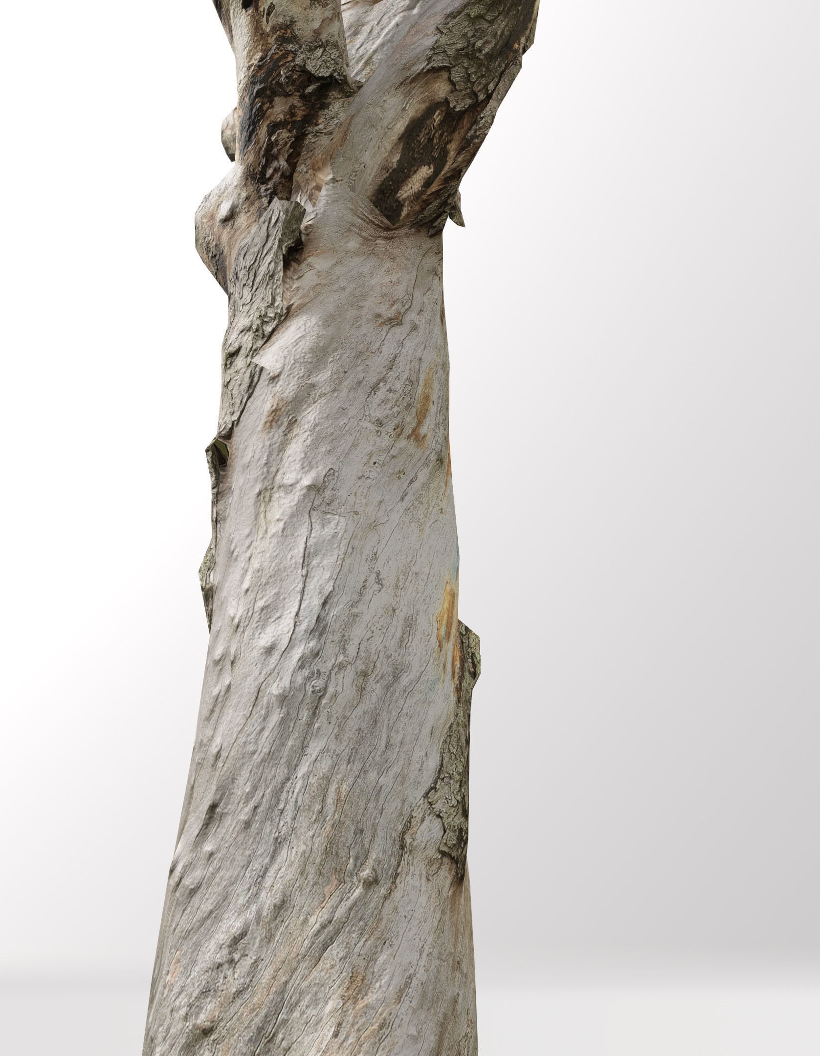 3D model Dead Tree Collection 3D Low poly VR / AR / low-poly | CGTrader