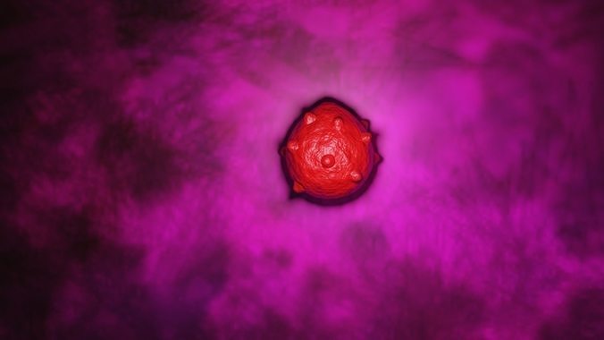 3D model Rokakaka fruit VR / AR / low-poly | CGTrader