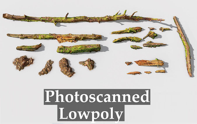 3D model Forest Branches Debris Leaves Scan VR / AR / low-poly | CGTrader