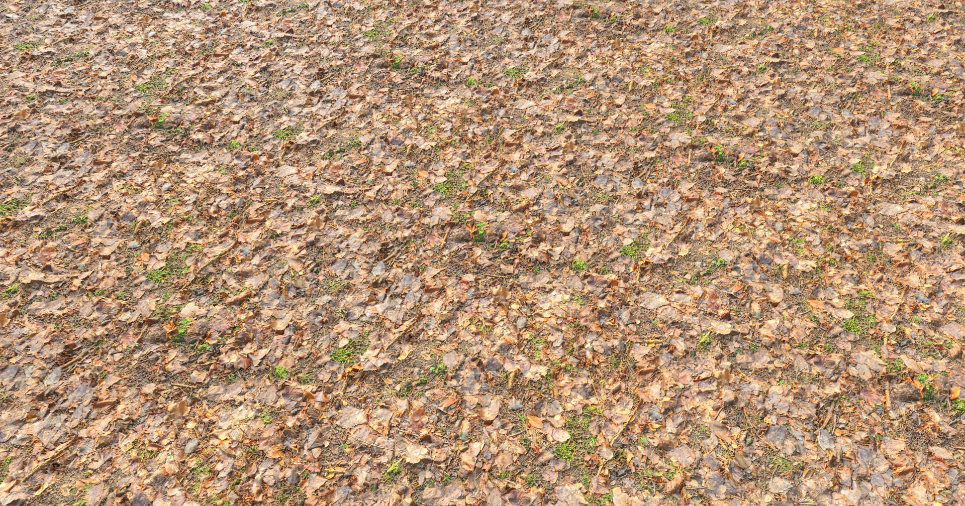 3D model Forest Branches Debris Leaves Scan VR / AR / low-poly | CGTrader