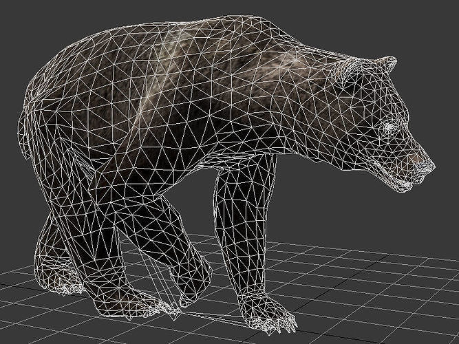 walking bear loop 3D model animated rigged | CGTrader