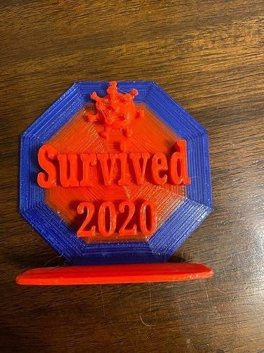 I survived 2020 3D model 3D printable | CGTrader