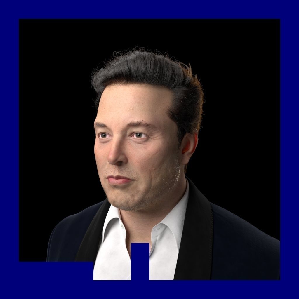 Elon Musk 3d 3D model | CGTrader