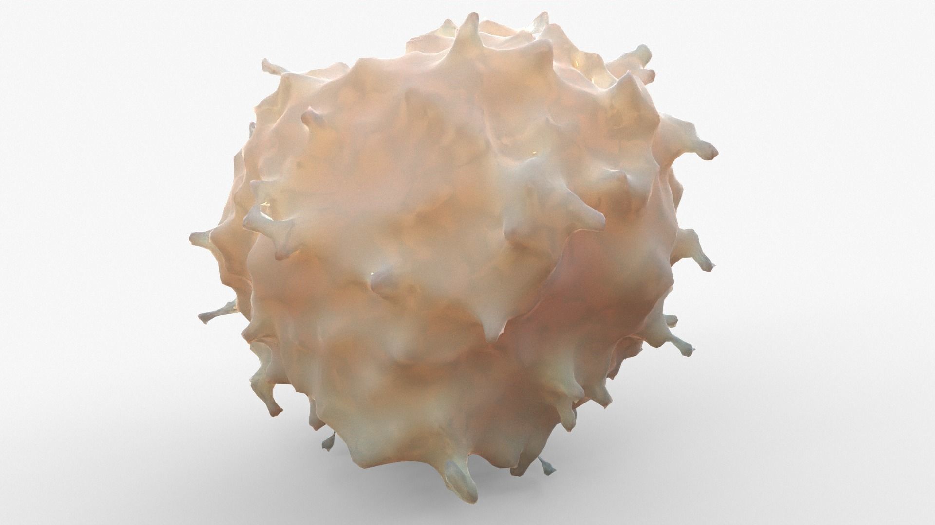 Lymphocytes 3D model | CGTrader