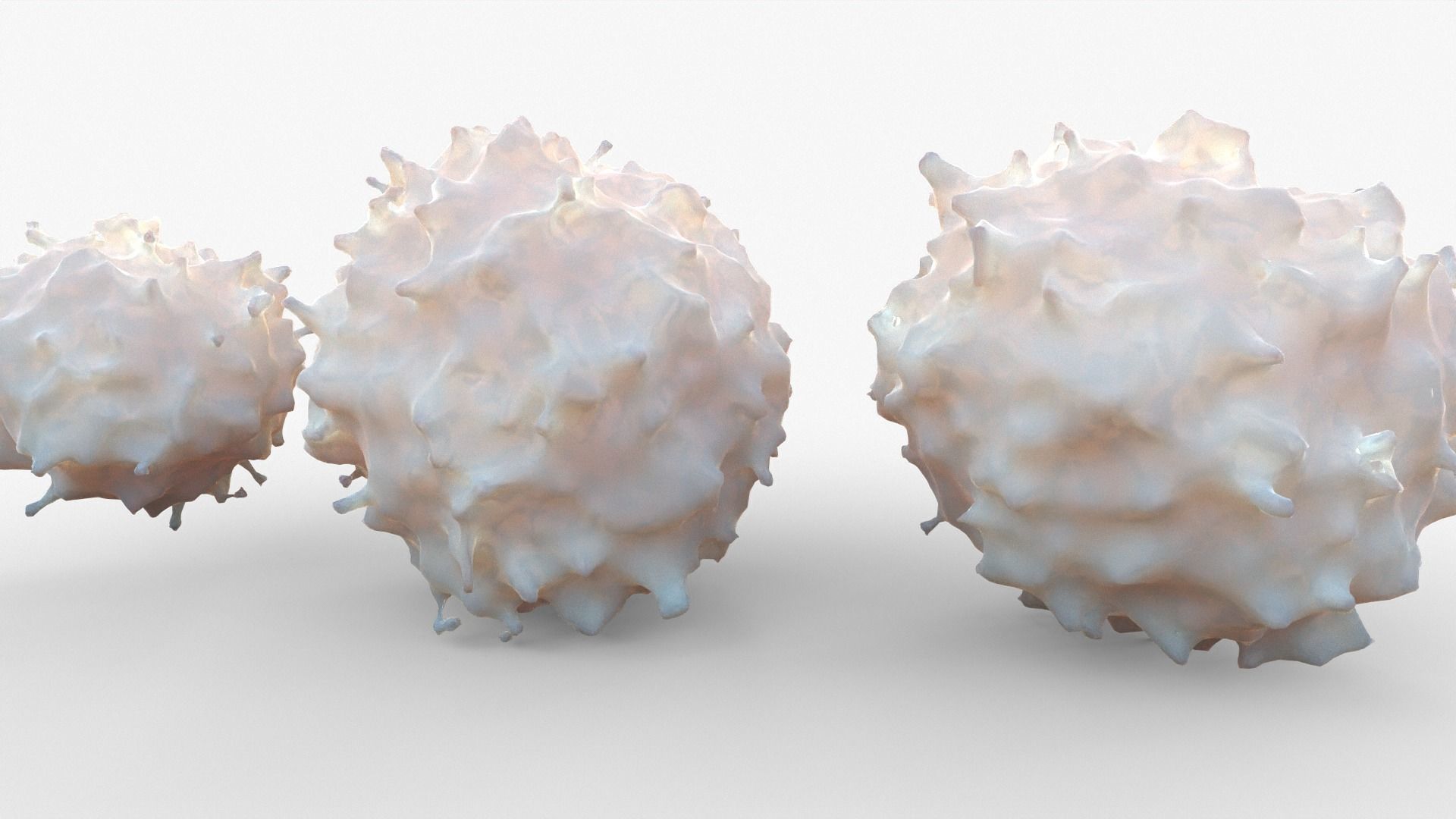 Lymphocytes 3D model | CGTrader