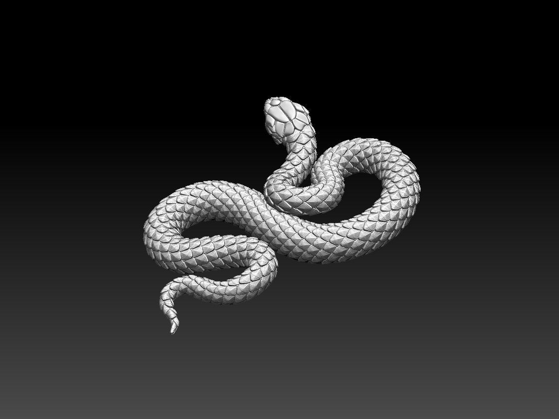 snake 3D model 3D printable | CGTrader