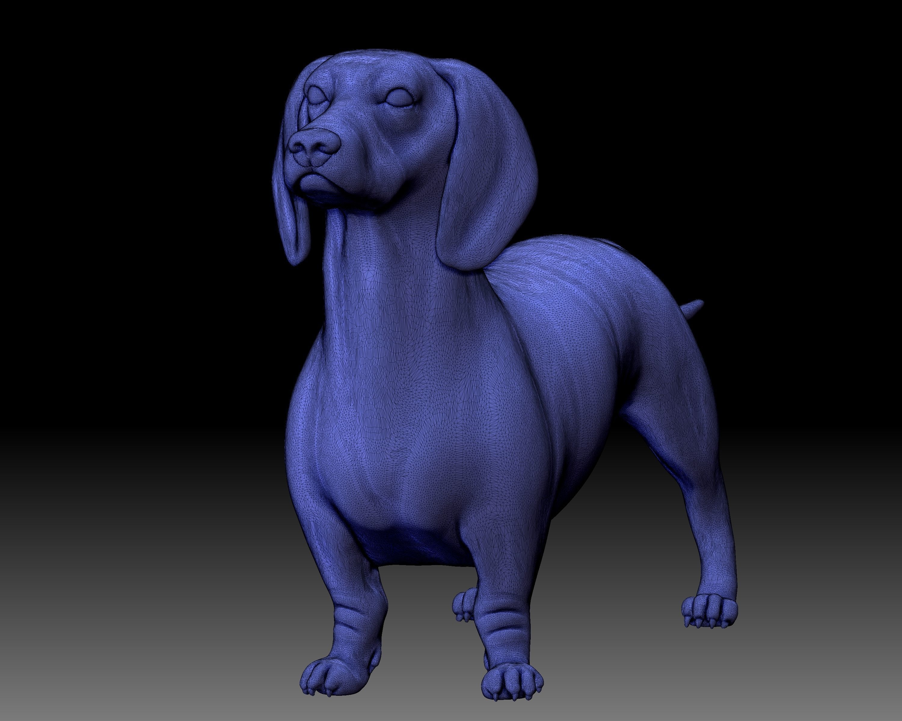 Dutch hound Dachshund 3D printable 3D model 3D printable | CGTrader