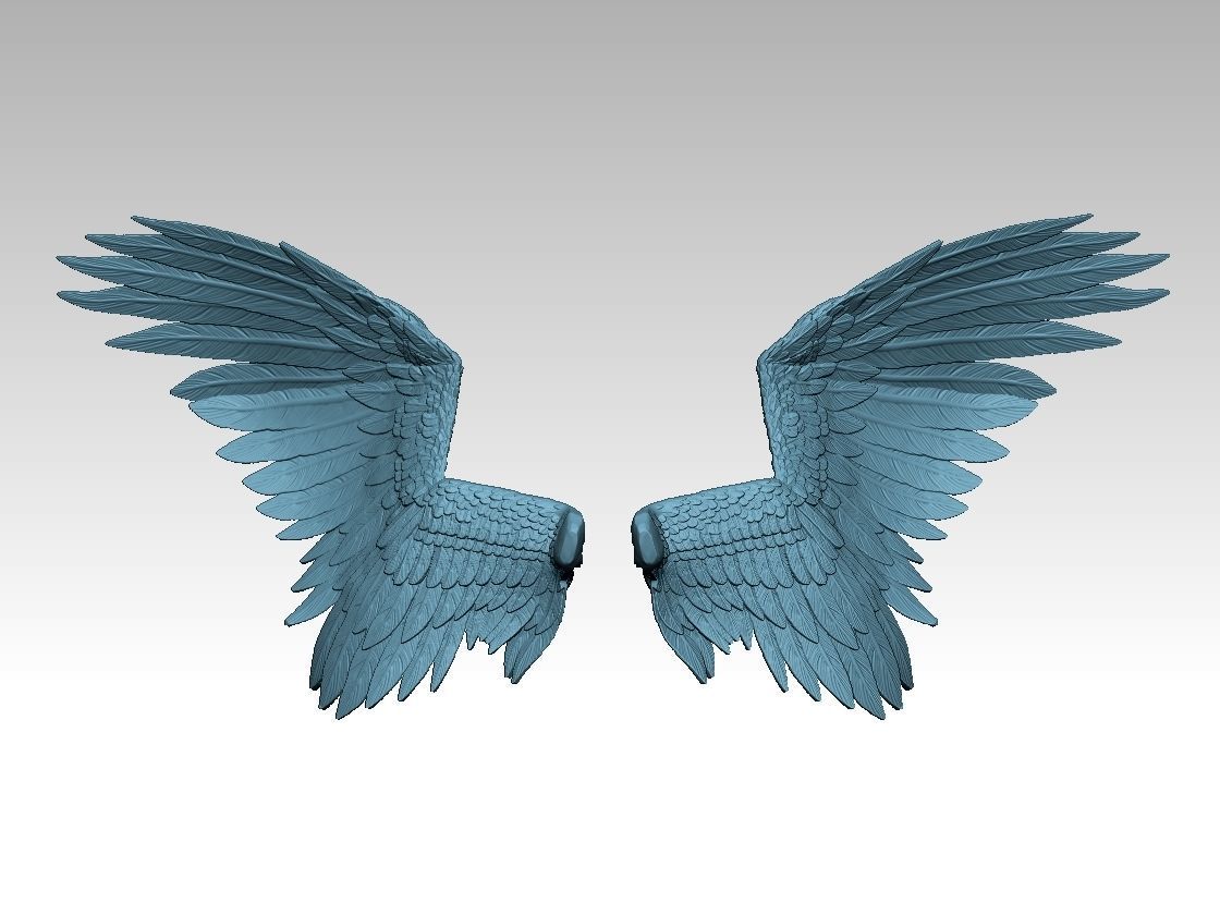 wing bird and angel 3D model 3D printable | CGTrader