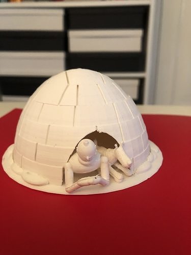 How To Make An Igloo Model For School