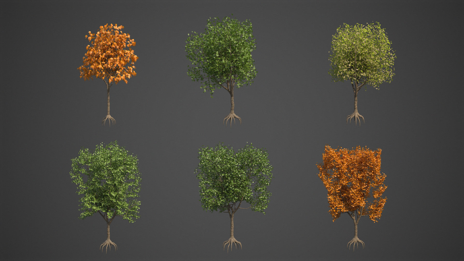 2021 PBR American Planetree Collection - Platanus Occidentalis 3D model ...