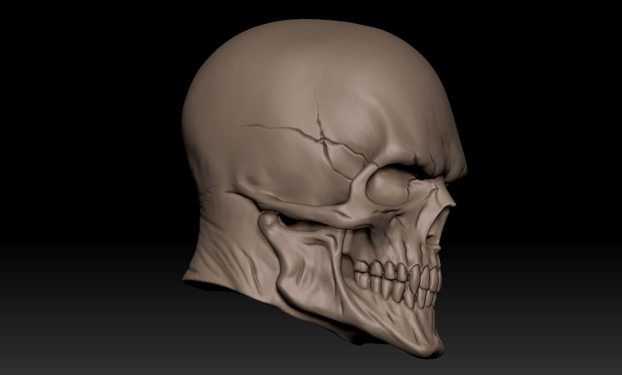 Scullhead Sculpt 3D model | CGTrader