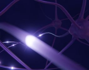 Animated Brain anatomy 3D Models | CGTrader