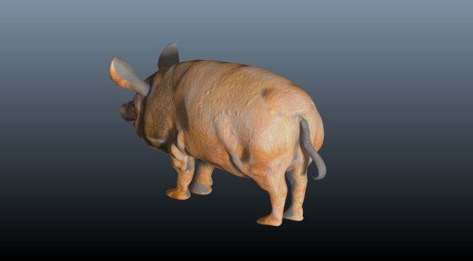 The hog 3D Model | CGTrader.com
