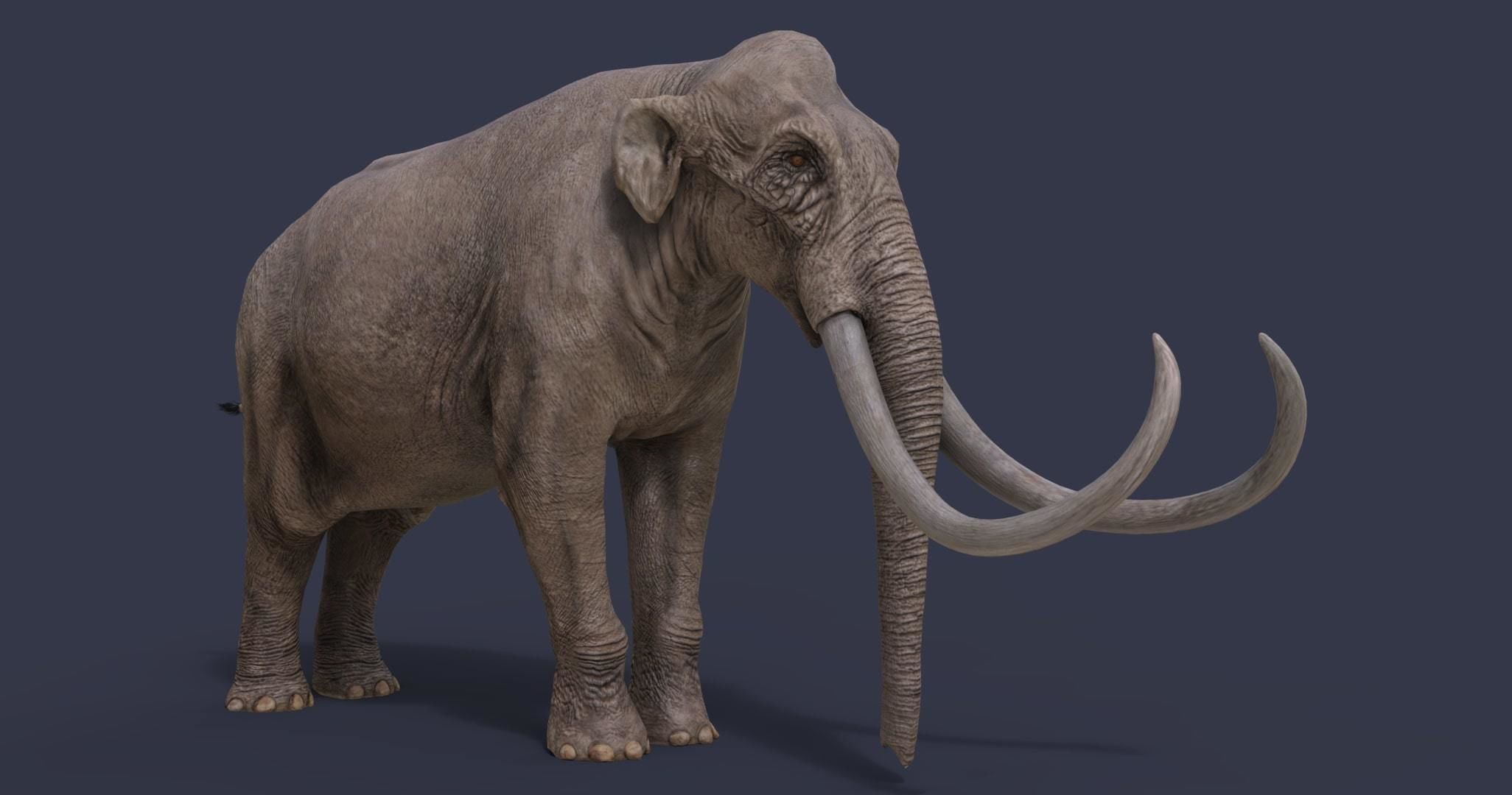Extinct animals pack version 15 3D model | CGTrader