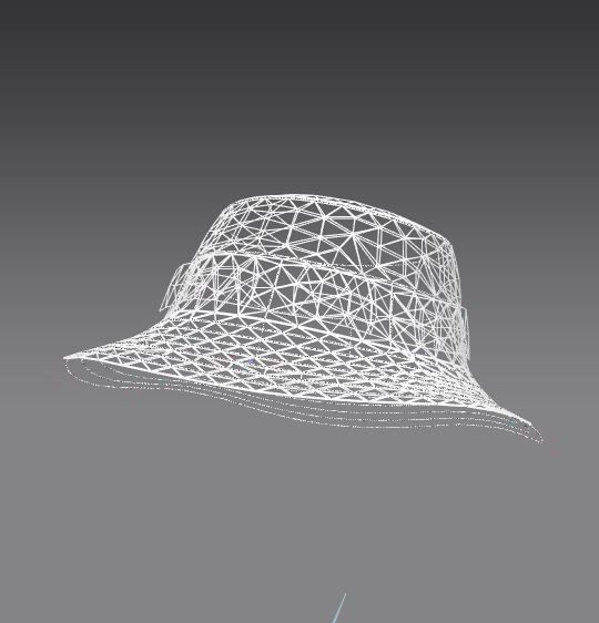 Bucket Hat 3D model | CGTrader