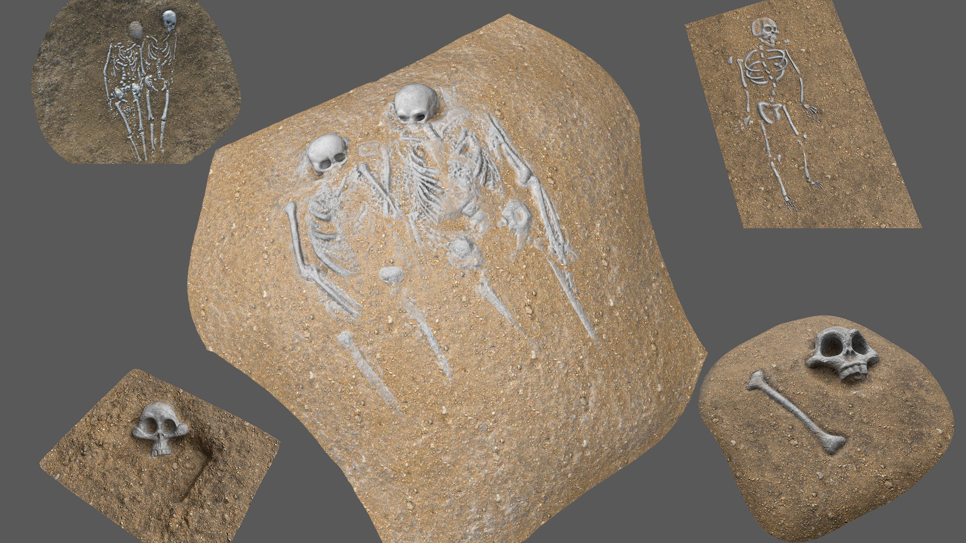 human skeleton remains 3D asset | CGTrader