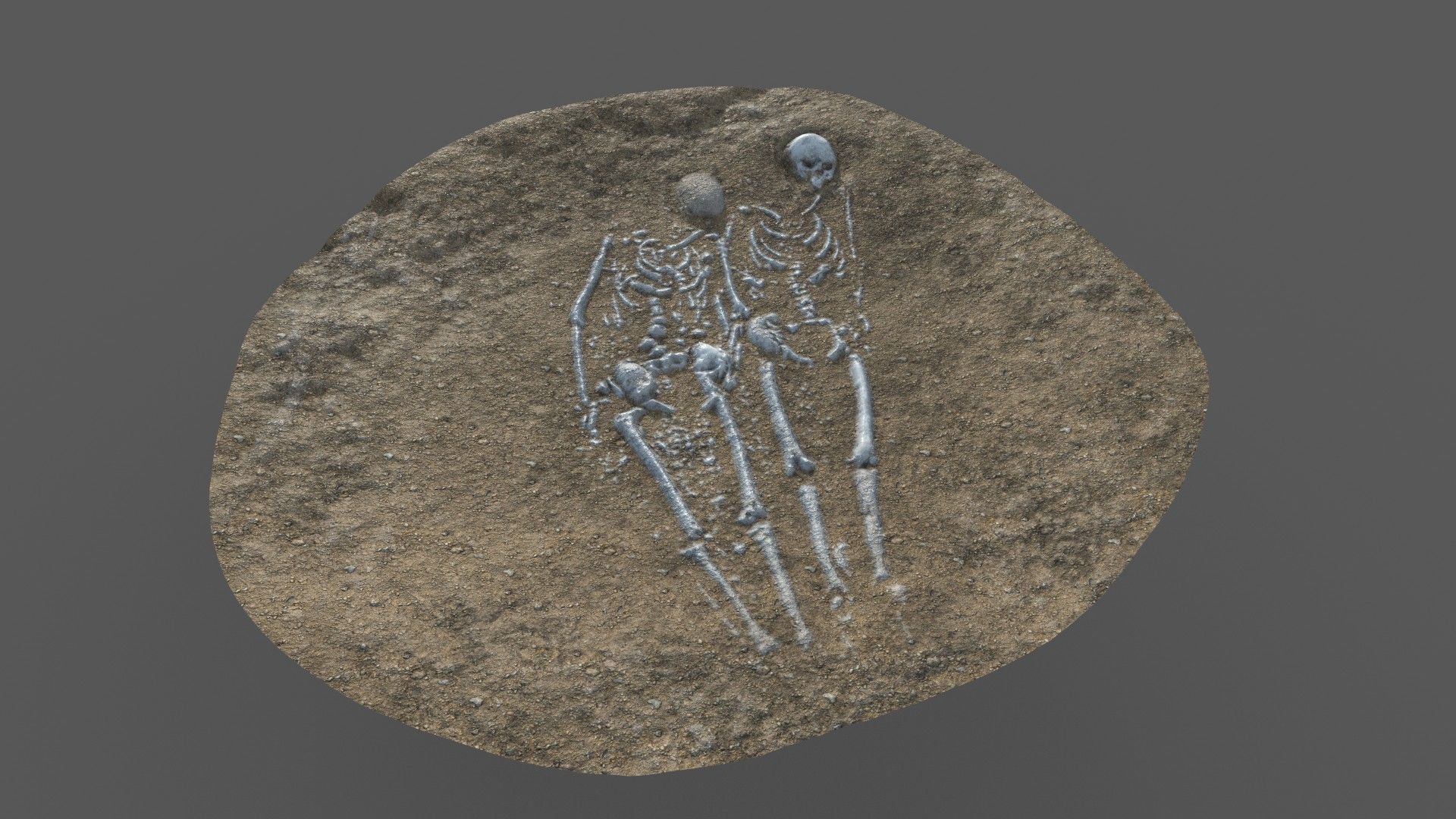 3D model human skeleton remains VR / AR / low-poly | CGTrader