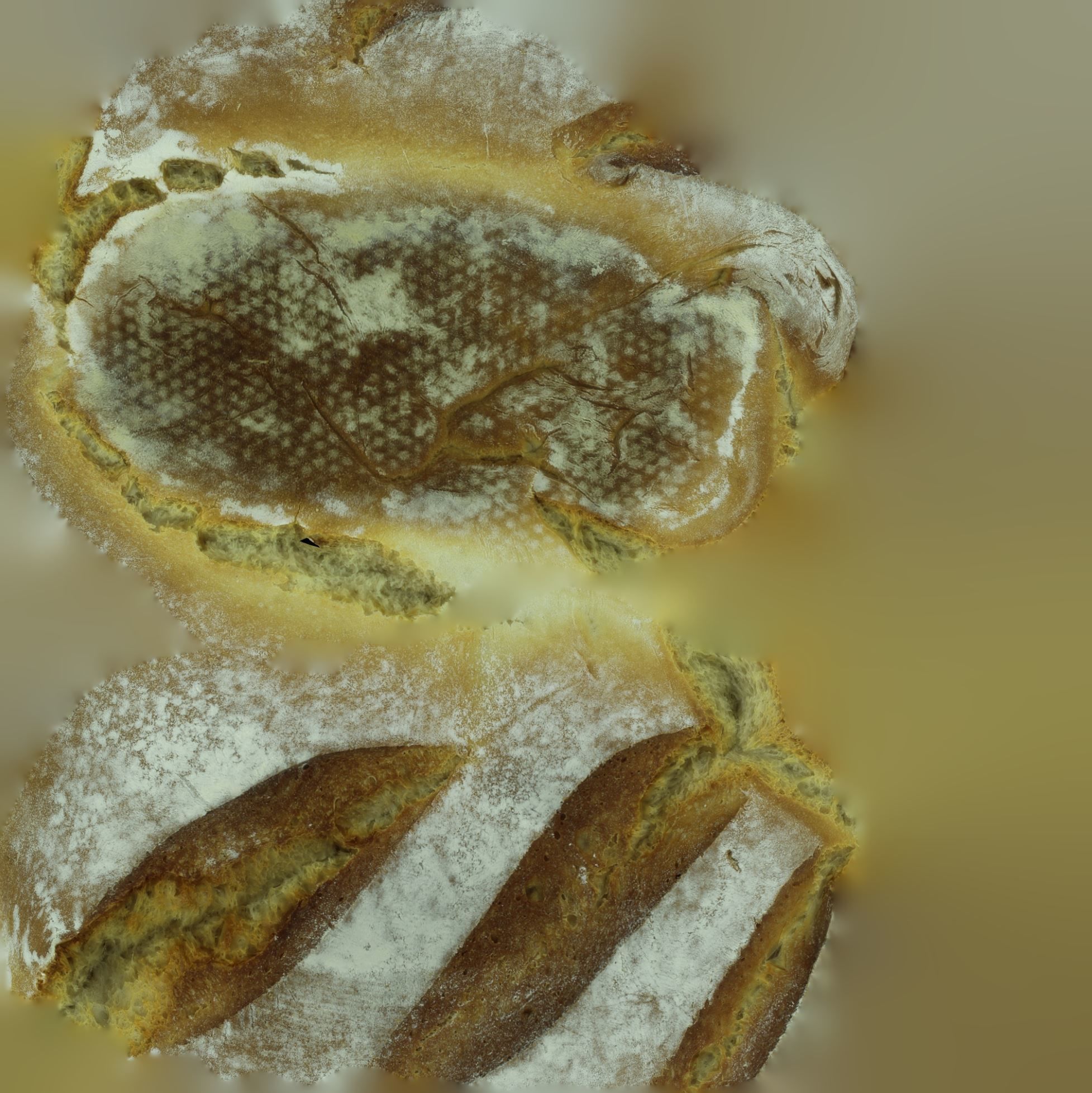 3D model Ultra realistic Bread scan 8k Low-Poly 3D model VR / AR / low ...