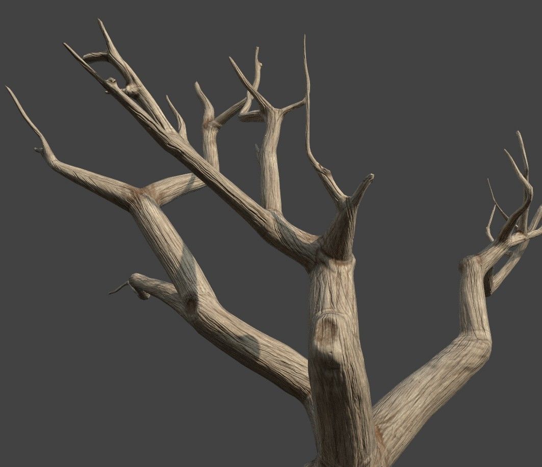 3D model Dead Tree VR / AR / low-poly | CGTrader