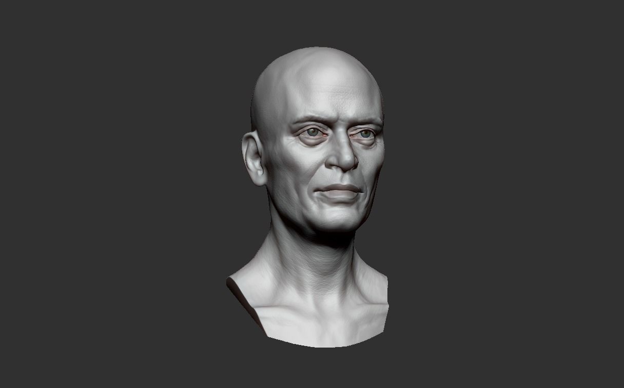 Printable bust Steve Buscemi 3D model 3D printable | CGTrader