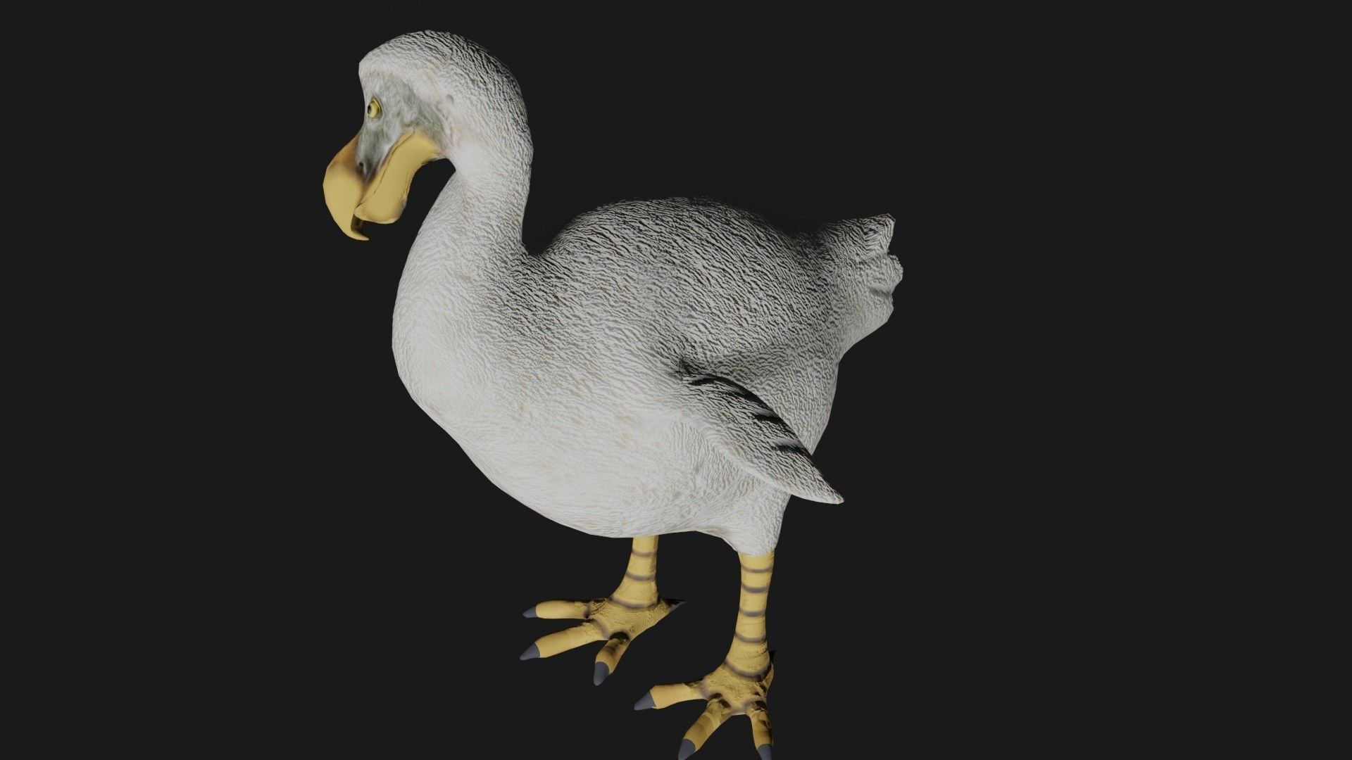 3D model Dodo Bird VR / AR / low-poly rigged | CGTrader