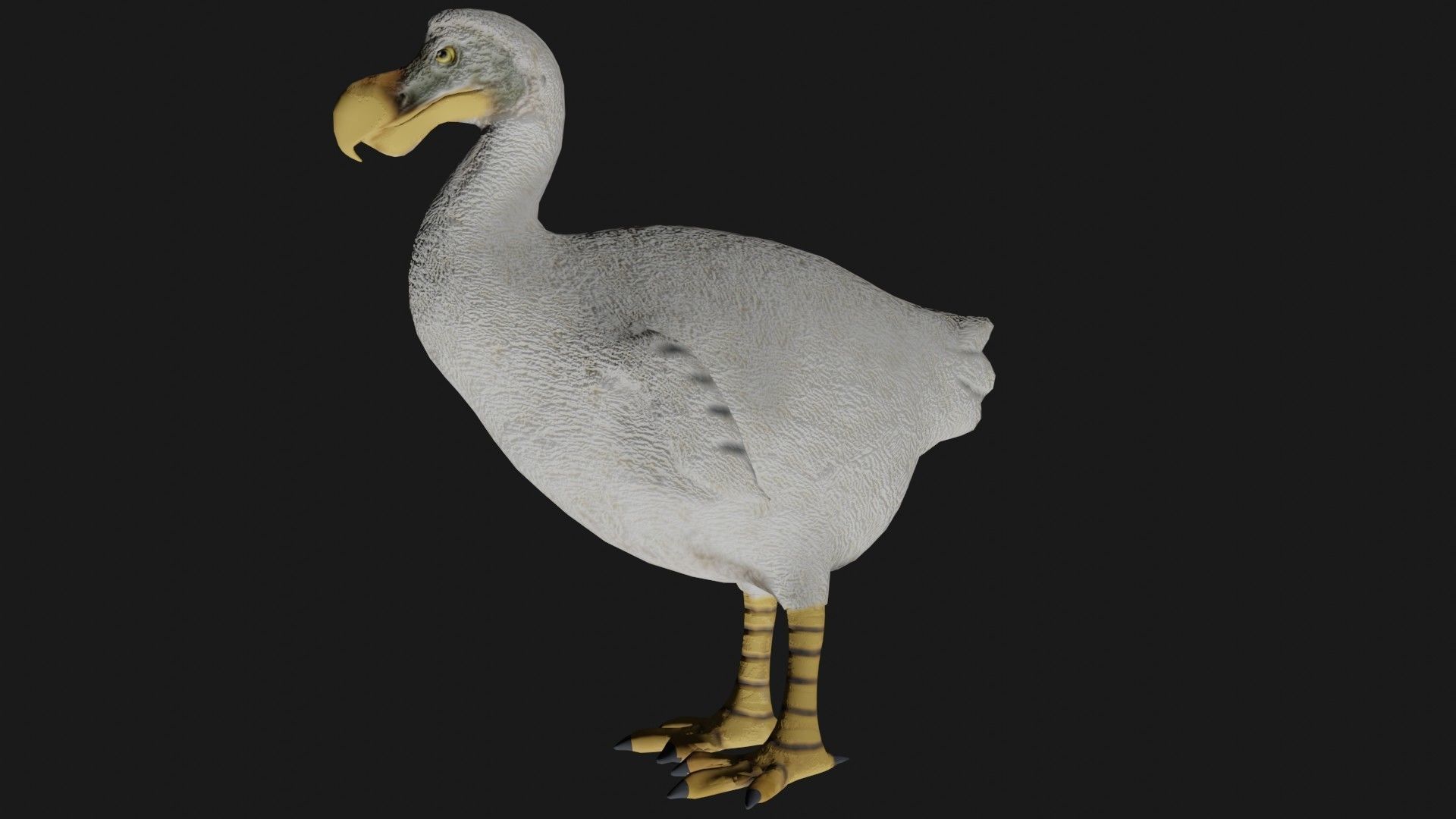 3D model Dodo Bird VR / AR / low-poly rigged | CGTrader